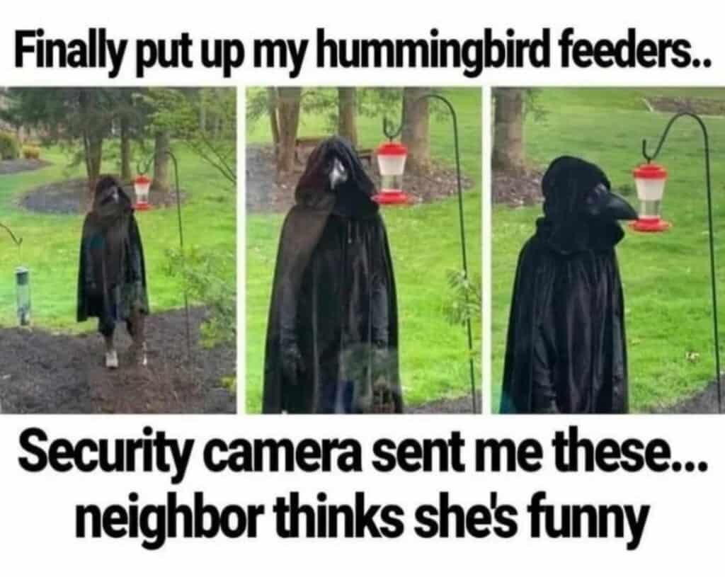 40 Funny Birdwatcher Memes For The Hawk Gawkers And Peep Peepers