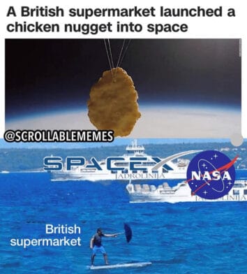 30+ Funny Chicken Nugget Memes That Hit Harder Than A Late-Night ...