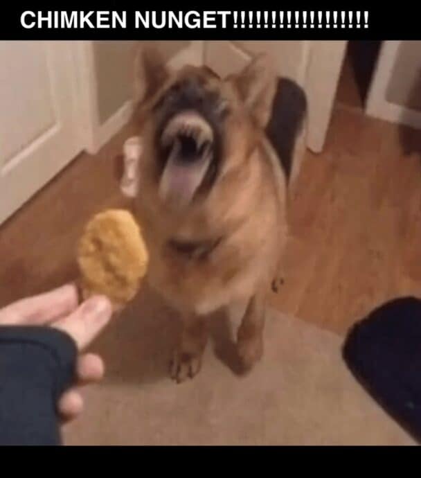 42 Funny Chicken Nugget Memes Fresh Out Of The Internet Fryer