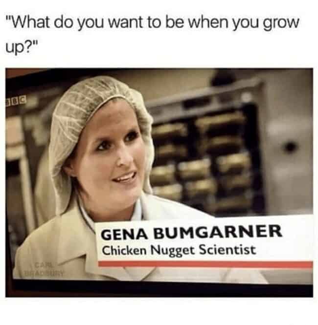 42 Funny Chicken Nugget Memes Fresh Out Of The Internet Fryer