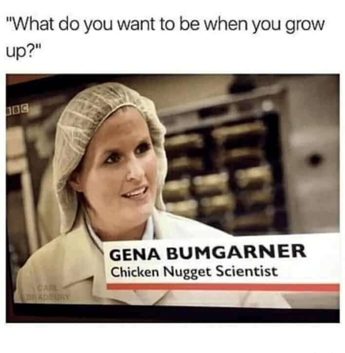 42 Funny Chicken Nugget Memes Fresh Out Of The Internet Fryer