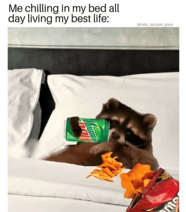 32 Funny Potato Chip Memes As Addictive As The Real Thing