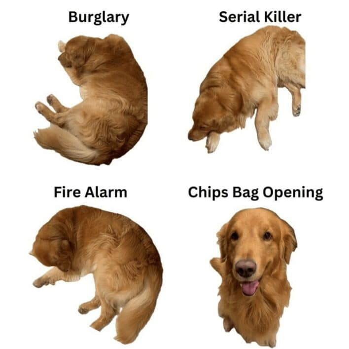 32 Funny Potato Chip Memes As Addictive As The Real Thing