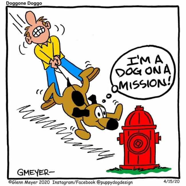 45 Funny Dog Comics That Perfectly Capture The Chaos Of Owning A Pup By ...