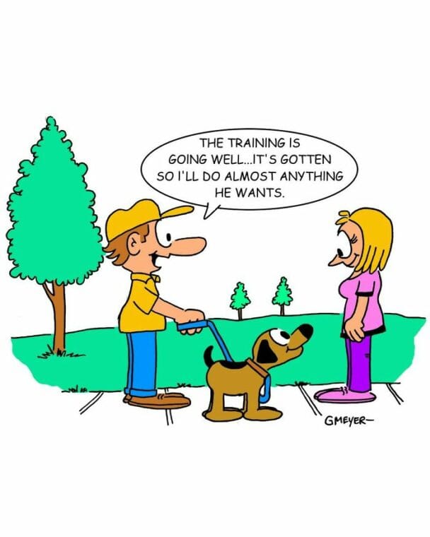 45 Funny Dog Comics That Perfectly Capture The Chaos Of Owning A Pup By ...
