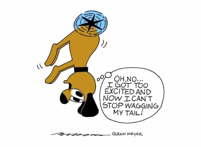 45 Funny Dog Comics That Perfectly Capture The Chaos Of Owning A Pup By ...