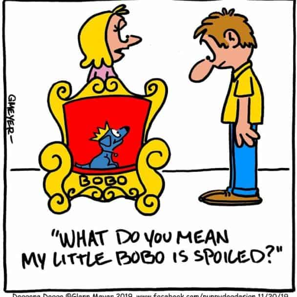 45 Funny Dog Comics That Perfectly Capture The Chaos Of Owning A Pup By ...