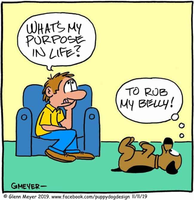 45 Funny Dog Comics That Perfectly Capture The Chaos Of Owning A Pup By ...