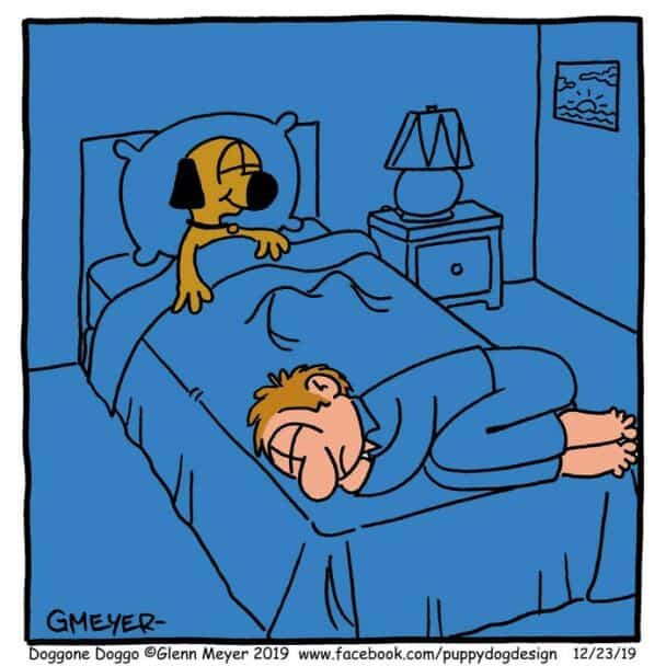 45 Funny Dog Comics That Perfectly Capture The Chaos Of Owning A Pup By ...