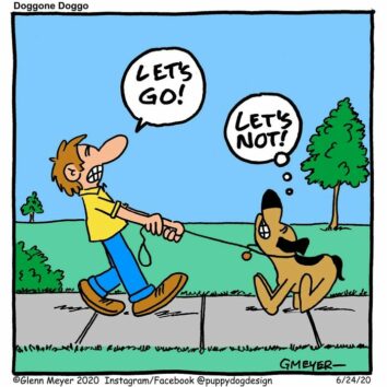 45 Funny Dog Comics That Perfectly Capture The Chaos Of Owning A Pup By ...