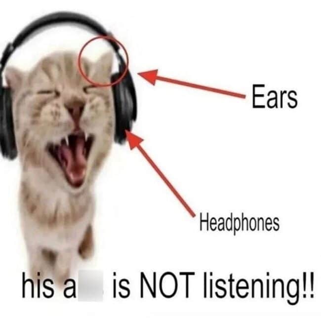 35 Funny Headphones Memes For People Who Live Life On Noise-Canceling Mode
