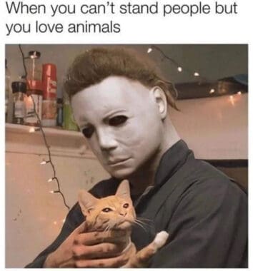 45 Funny Introvert Memes That Prove The Best Plans Are Canceled Plans ...