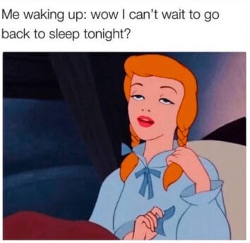 45 Funny Introvert Memes That Prove The Best Plans Are Canceled Plans ...