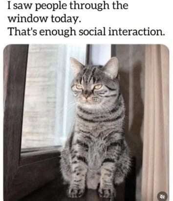 45 Funny Introvert Memes That Prove The Best Plans Are Canceled Plans ...