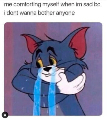 45 Funny Introvert Memes That Prove The Best Plans Are Canceled Plans ...