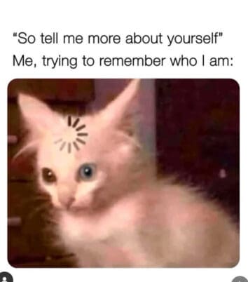 45 Funny Introvert Memes That Prove The Best Plans Are Canceled Plans ...