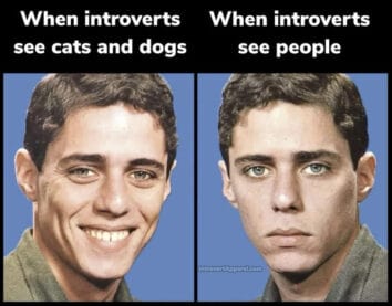 45 Funny Introvert Memes That Prove The Best Plans Are Canceled Plans ...