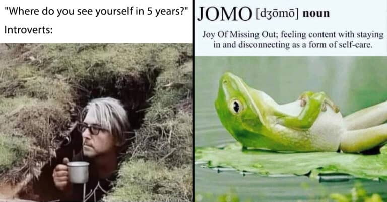 45 Funny Introvert Memes That Prove The Best Plans Are Canceled Plans ...