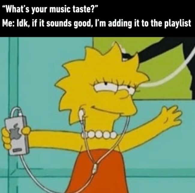 36 Funny Memes About Your Music Taste That Are Relatable To Every Type ...