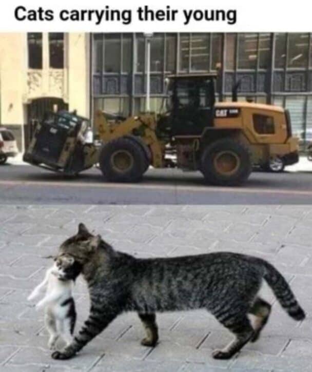 40 Funny Memes That Prove 'Technically Correct' Is The Best Kind Of ...