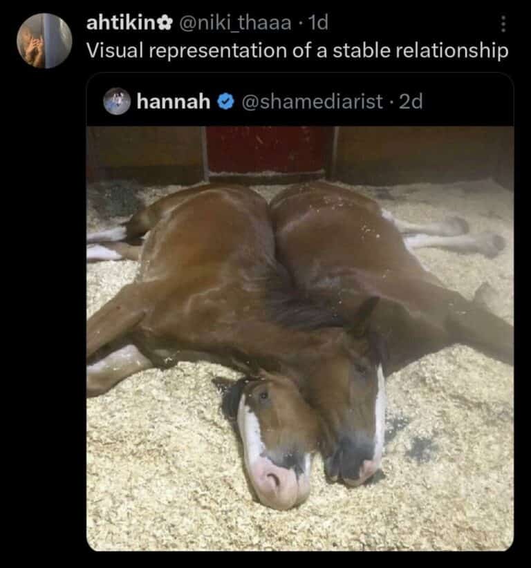 40 Funny Memes That Prove 'Technically Correct' Is The Best Kind Of ...