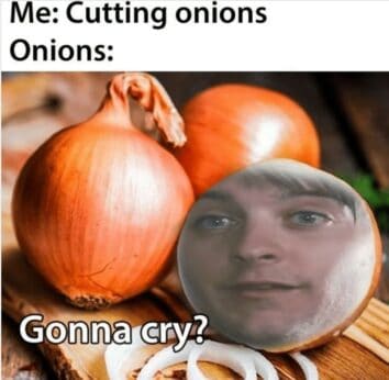 29 Funny Memes For Onion Lovers That Will Have You Crying With Laughter