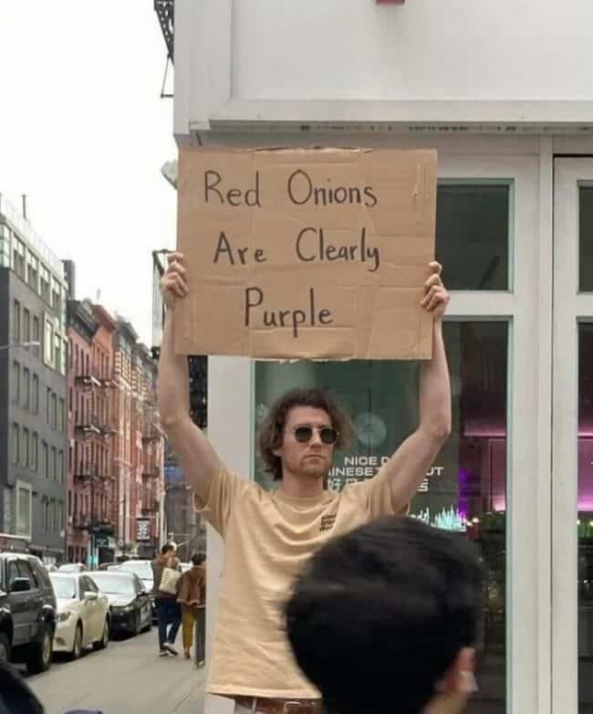 29 Funny Memes For Onion Lovers That Will Have You Crying With Laughter