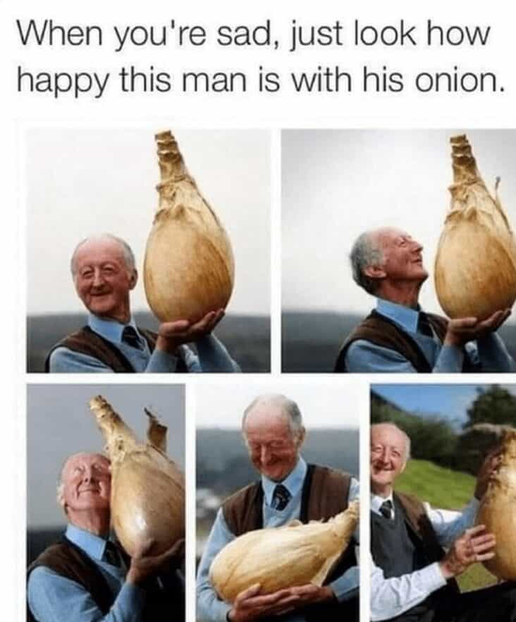29 Funny Memes For Onion Lovers That Will Have You Crying With Laughter