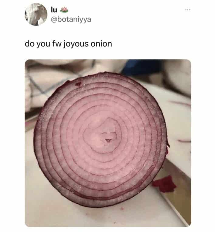 29 Funny Memes For Onion Lovers That Will Have You Crying With Laughter