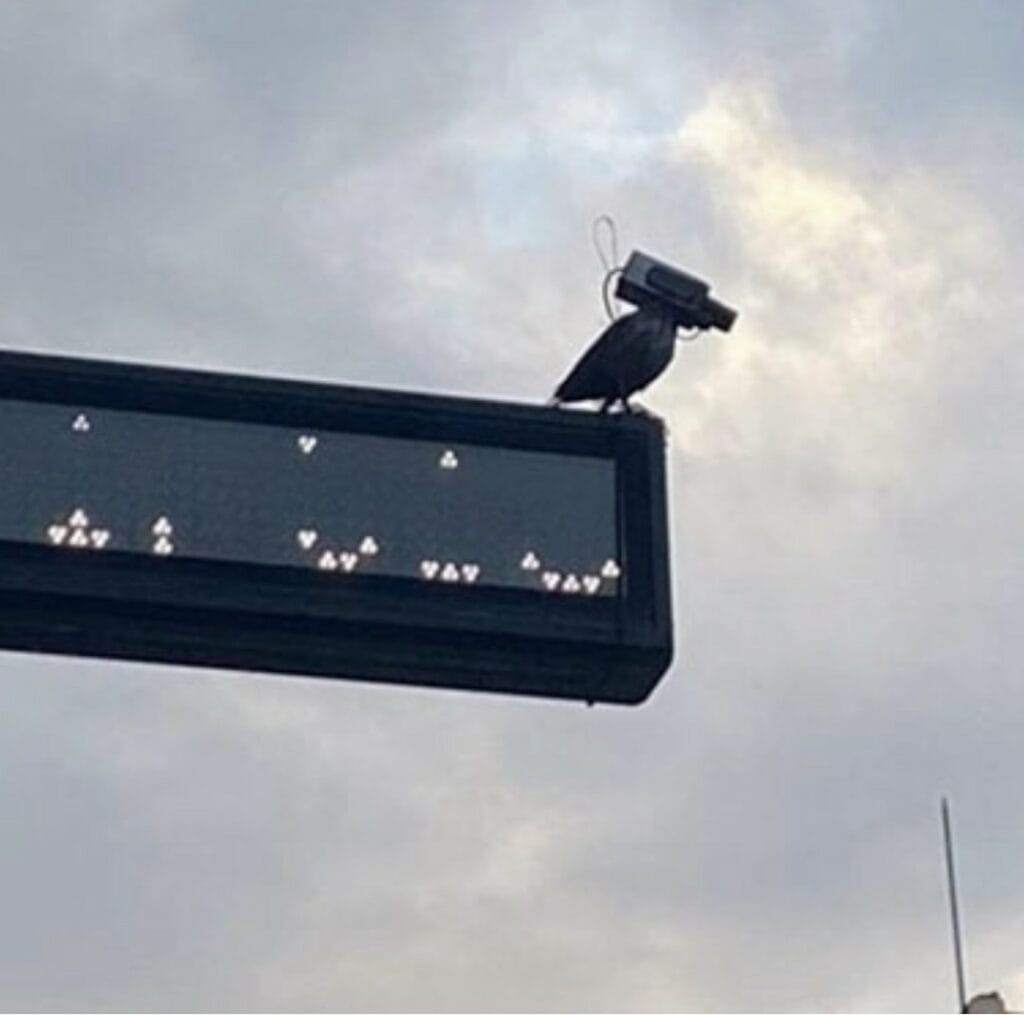 50 Funny Images From Confusing Perspectives That Baffled Us This Month ...