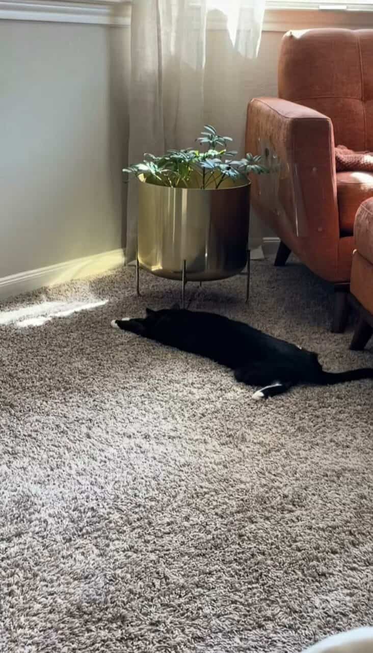 50 Funny Images From Confusing Perspectives That Baffled Us This Month ...