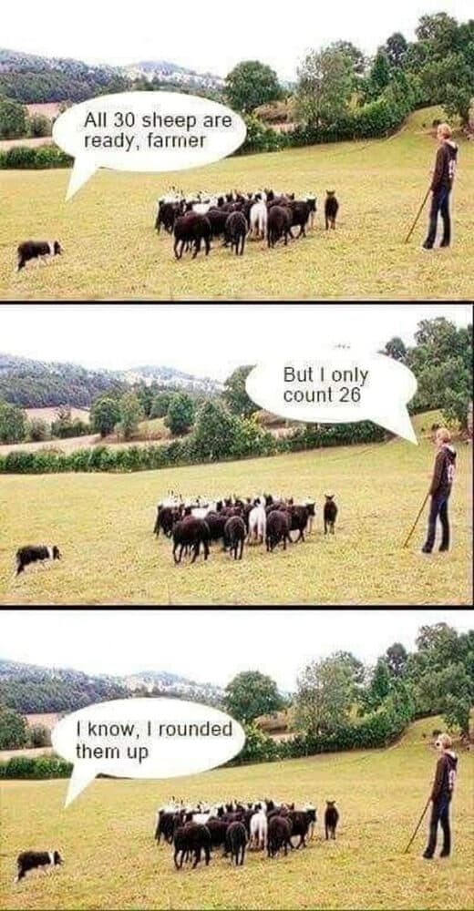 “Monday Punday”: 40 Funny Pun Memes To Start Your Week Pun-Derfully ...