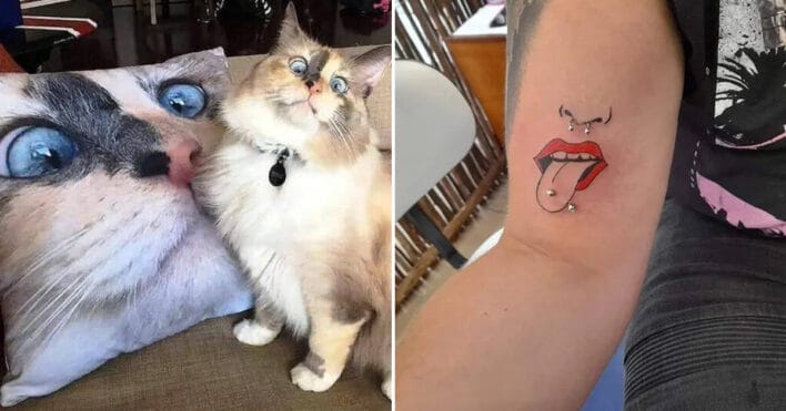 40 Funny And/Or Random Pictures For Your Daily Dose Of Randomness ...