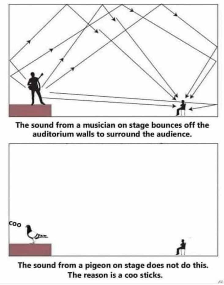 40 Peer-Reviewed Funny Science Memes That Deserve A Nobel Prize In ...