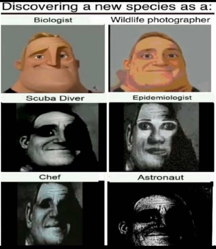 40 Peer-Reviewed Funny Science Memes That Deserve A Nobel Prize In ...