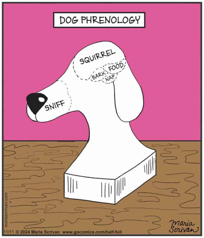 40 Hilarious Single-Panel Comics Packed With Absurd Humor From Maria ...