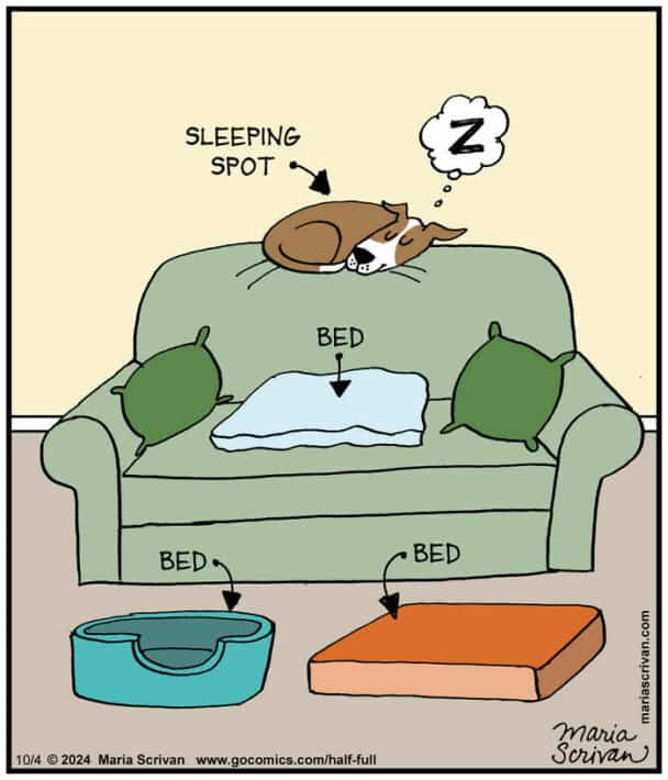 40 Hilarious Single-Panel Comics Packed With Absurd Humor From Maria ...