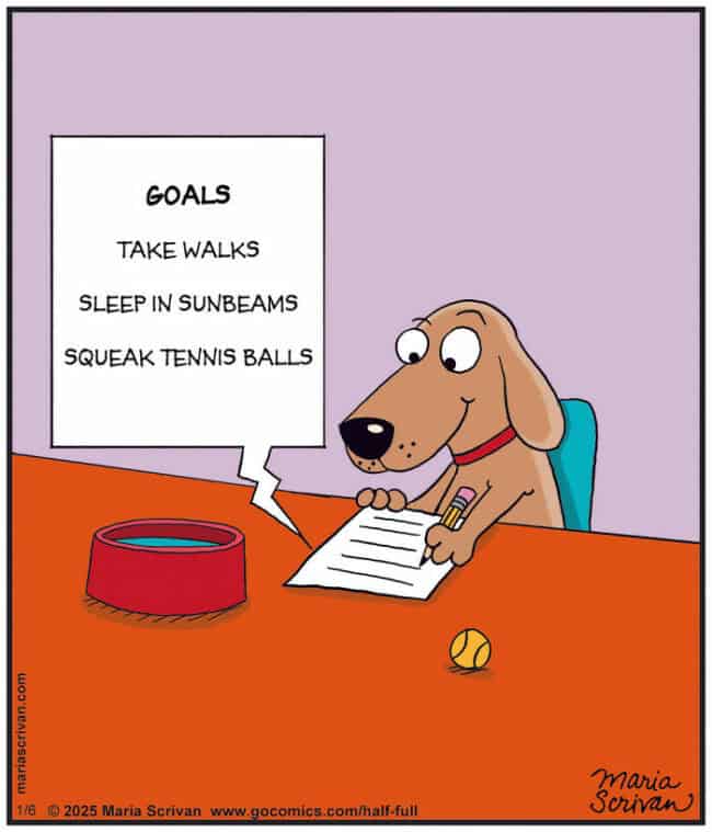 40 Hilarious Single-Panel Comics Packed With Absurd Humor From Maria ...