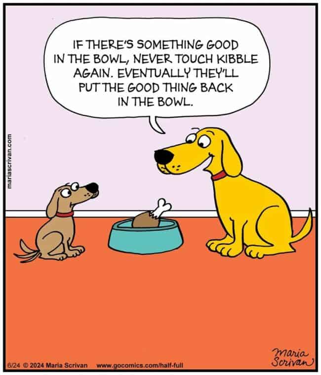 40 Hilarious Single-Panel Comics Packed With Absurd Humor From Maria ...