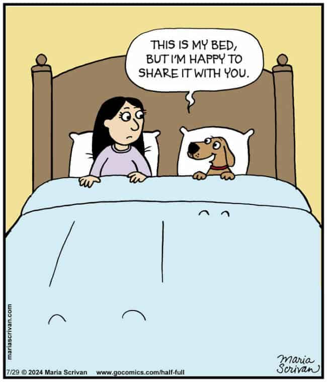 40 Hilarious Single-Panel Comics Packed With Absurd Humor From Maria ...
