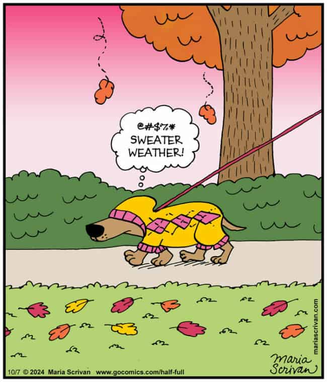 40 Hilarious Single-Panel Comics Packed With Absurd Humor From Maria ...