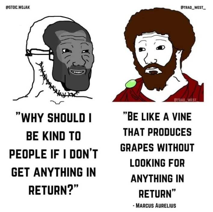 40 Deep And Funny Stoic Memes On The Philosophy Of Stoicism And Marcus ...