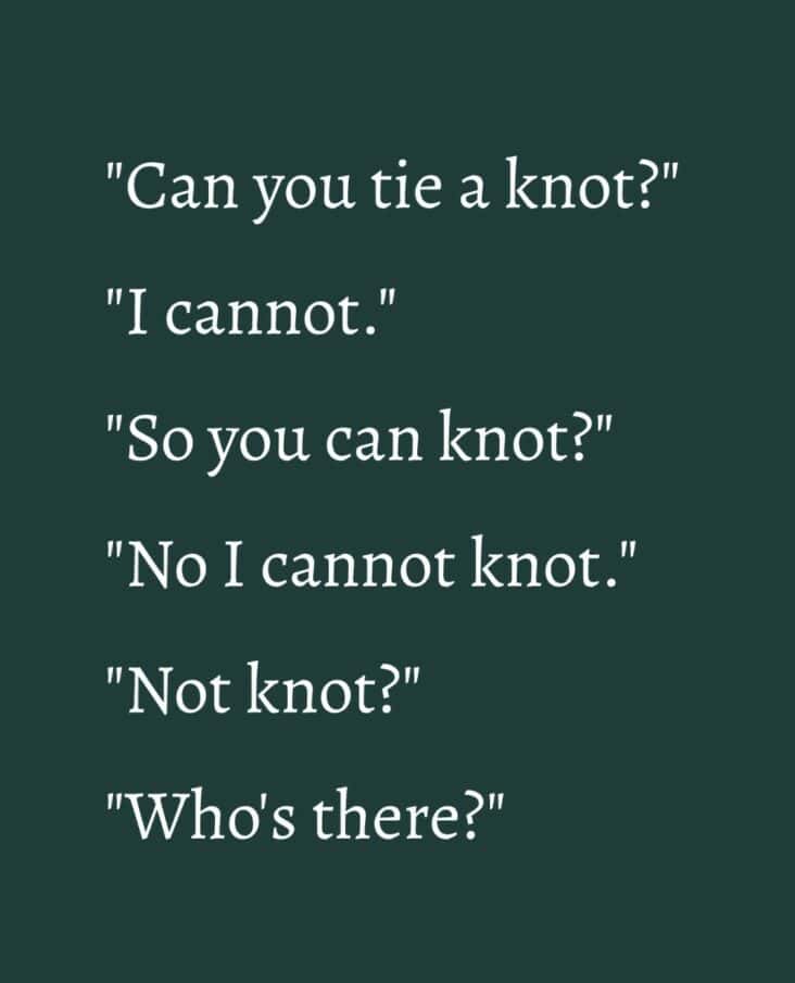 50 Clever and Hilarious Wordplay Memes From The 'The Language Nerds'
