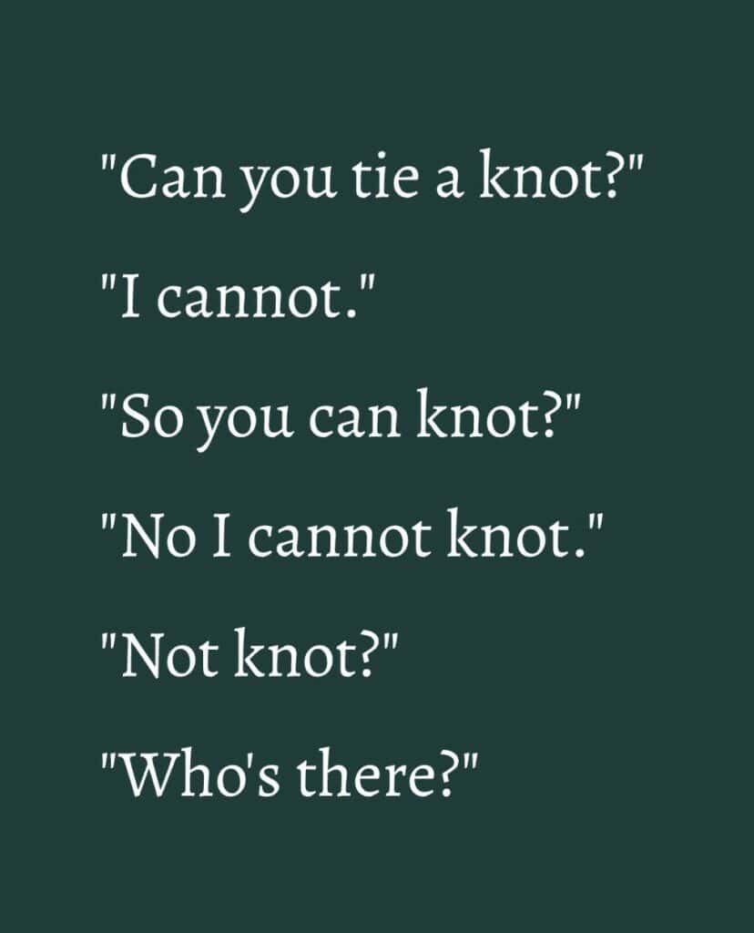 50 Clever and Hilarious Wordplay Memes From The 'The Language Nerds'