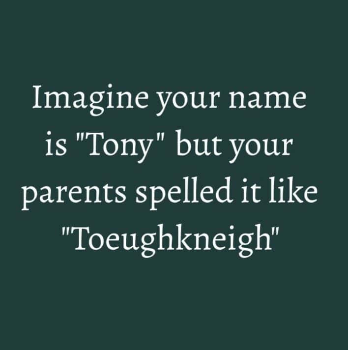 50 Clever and Hilarious Wordplay Memes From The 'The Language Nerds'