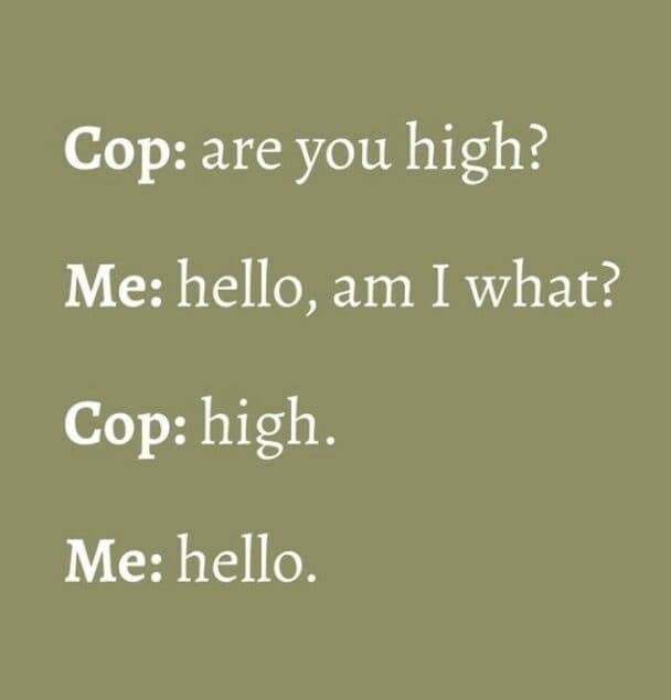 50 Clever and Hilarious Wordplay Memes From The 'The Language Nerds'