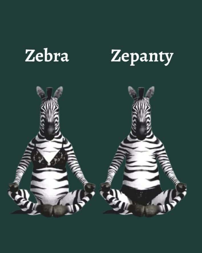 50 Clever and Hilarious Wordplay Memes From The 'The Language Nerds'