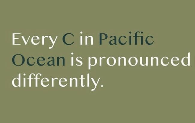 50 Clever and Hilarious Wordplay Memes From The 'The Language Nerds'