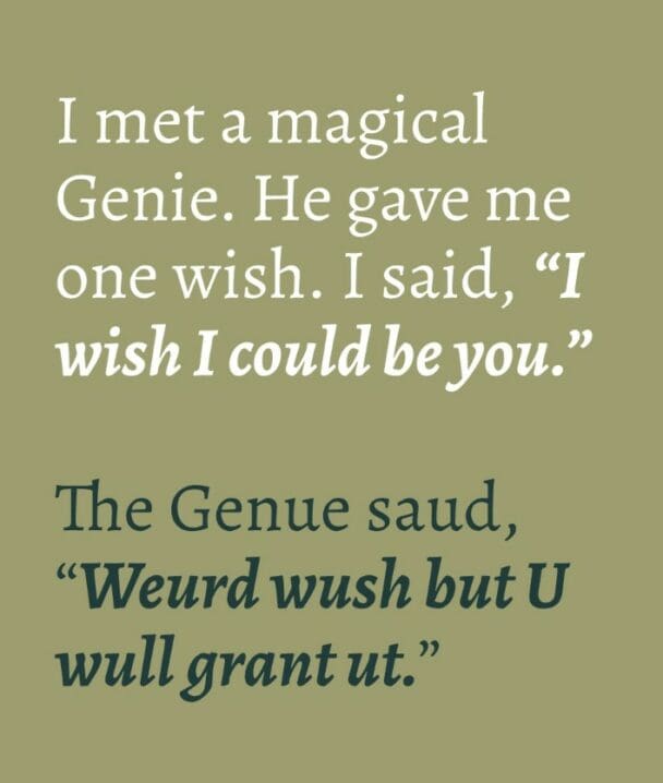 50 Clever and Hilarious Wordplay Memes From The 'The Language Nerds'