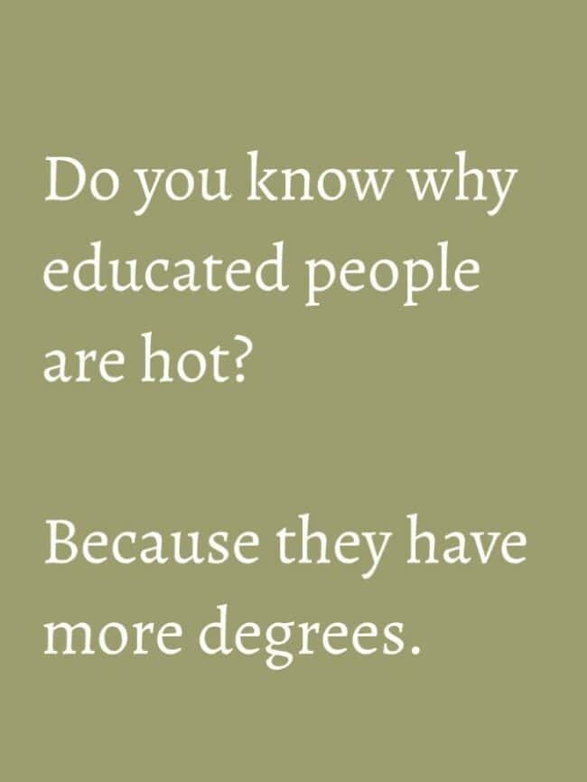 50 Clever and Hilarious Wordplay Memes From The 'The Language Nerds'